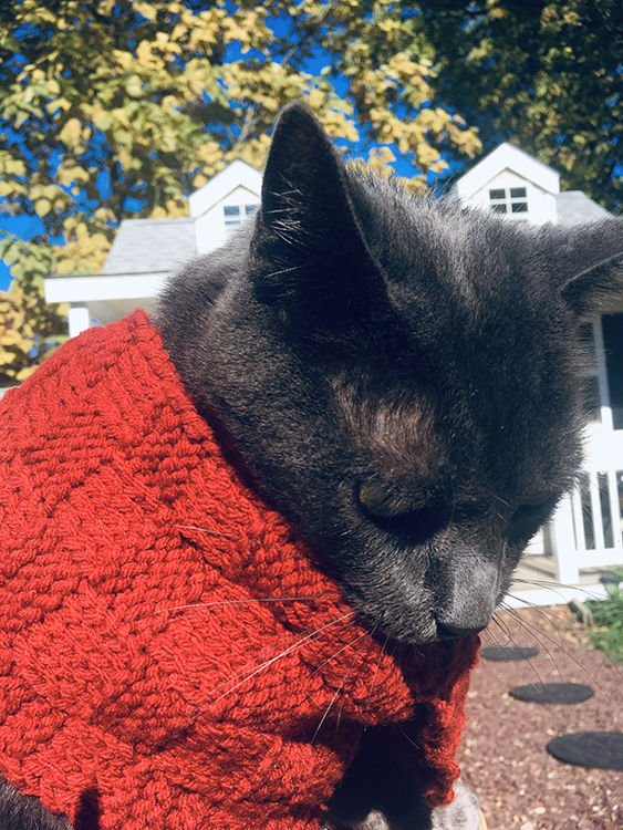 Textiles – Annette Nichols